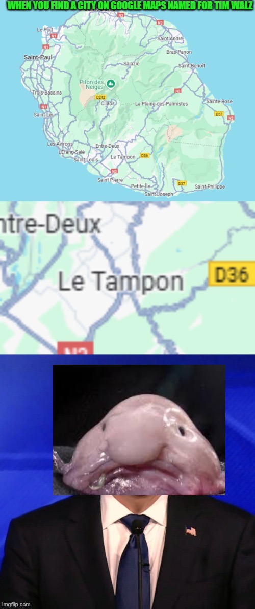 Image tagged in memes,google maps,island,city,tampon,french - Imgflip