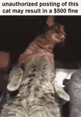 im authorized - Imgflip