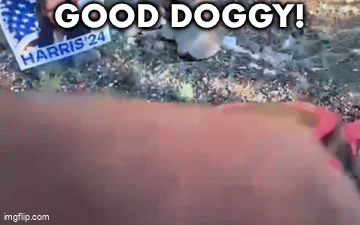 A great dog! - Imgflip