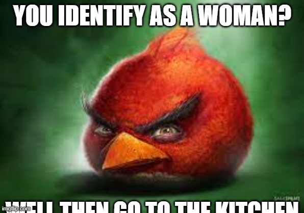 Realistic Red Angry Birds - Imgflip