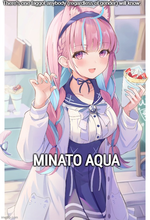 MINATOAQUAISAFAGGOT! - Imgflip