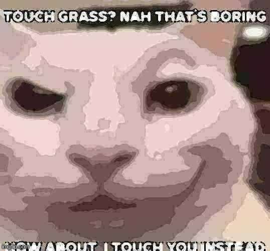 Touch grass? nah that's boring how about I touch you instead - Imgflip