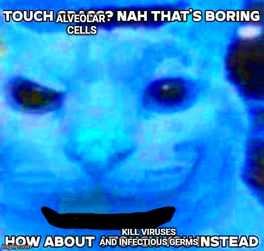 how about I touch you instead? - Imgflip