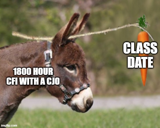 carrot on a stick - Imgflip