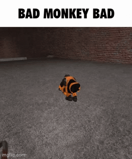 Shoutout to all the monkey’s out there, you know who you are - Imgflip