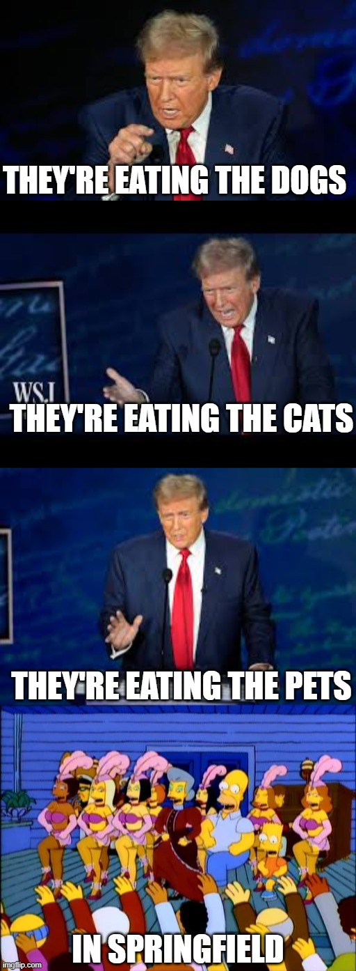 SpringField - Imgflip