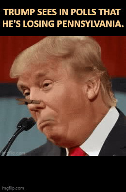 No, DonOLD, American elections are not stolen. They're lost. - Imgflip