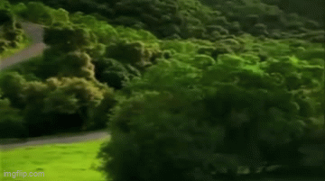 There are no more traffic problems, now you can look at the beautiful ...