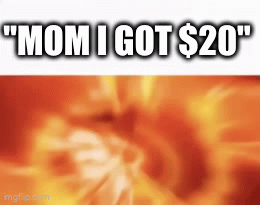 When you have $20 - Imgflip