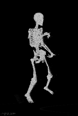 Dancing Skeleton - Imgflip