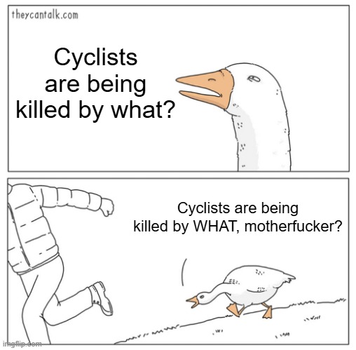 Goose chasing guy HD - Imgflip