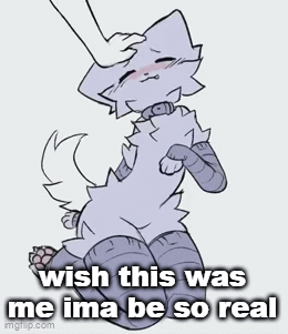 not on sm furry shit tho (prob) - Imgflip