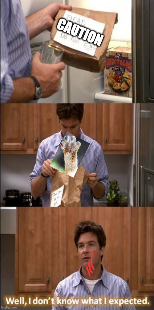 I don't Know What I Expected - Imgflip