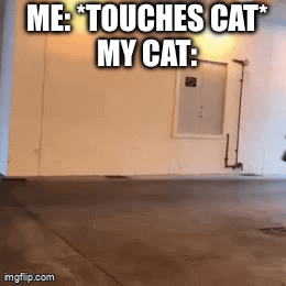 Enter a clever title for your gif! - Imgflip