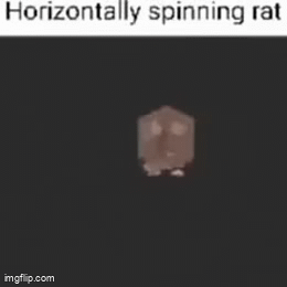 spinning rat - Imgflip