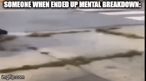 Someone when ended up Mental Breakdown (Credit to Hyper Tajik Patriot for the video lol): - Imgflip