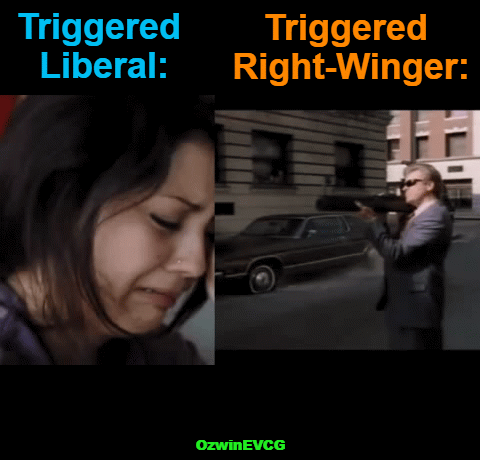 "Depends What You Mean by 'Triggered'..." - Imgflip