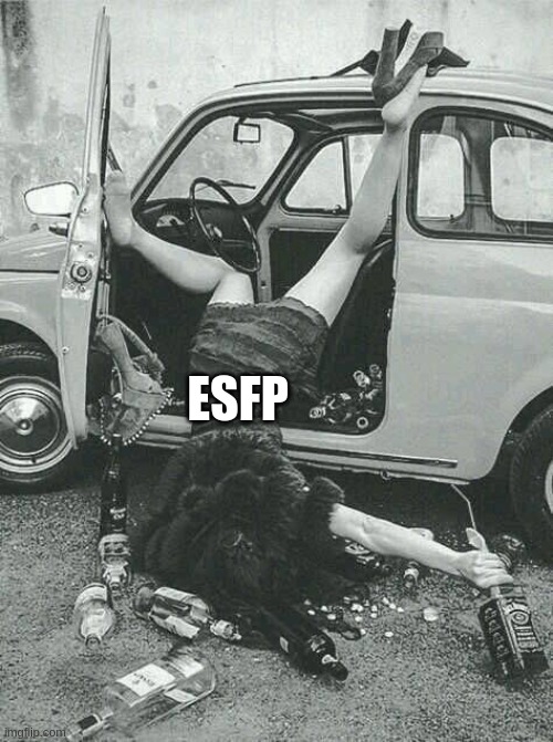 The Wildest Ride - Imgflip