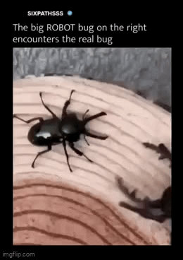 Buggy battle - Imgflip