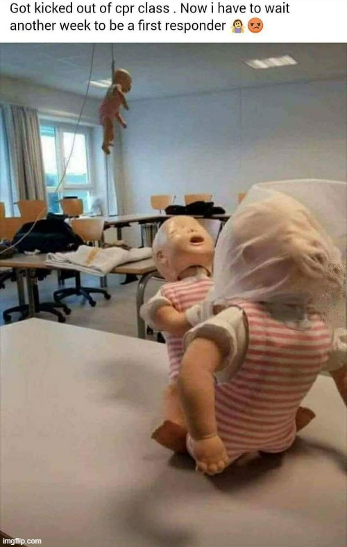 Dummies Gone Wild - Imgflip