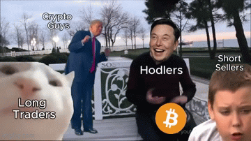 POV: Crypto market right now - Imgflip