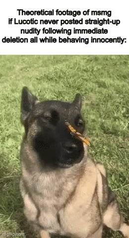 I bet he doesn't clean out belly button lint smh - Imgflip