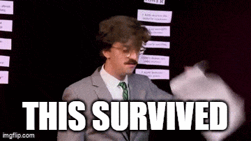 THIS SURVIVED! (Kirby - BDG) - Imgflip