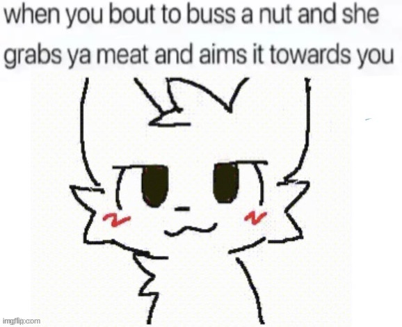 buss a nut blank - Imgflip