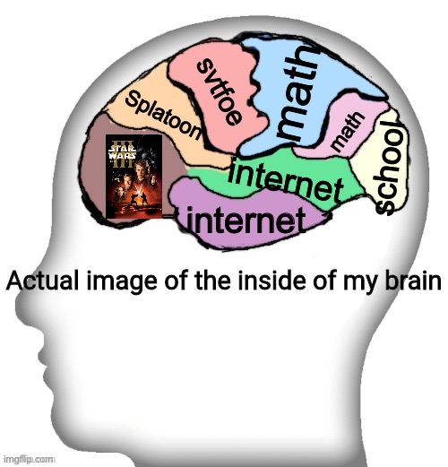 Actual image of the inside of my brain - Imgflip