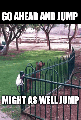 Funny gifs - Imgflip