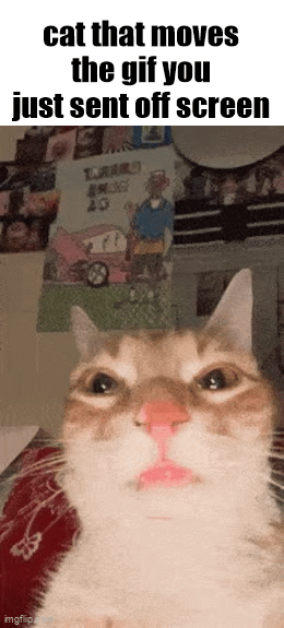 Submitted GIFs must have a title. Think of something clever! - Imgflip