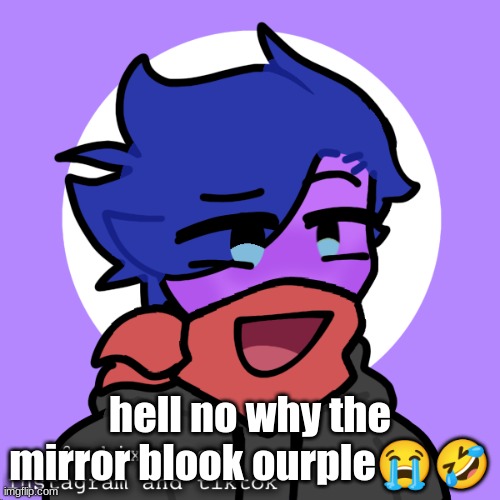 Mirror Blook (why he ourple) - Imgflip