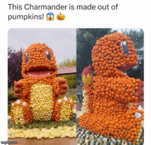 PUMPKIN CHARMANDER! - Imgflip