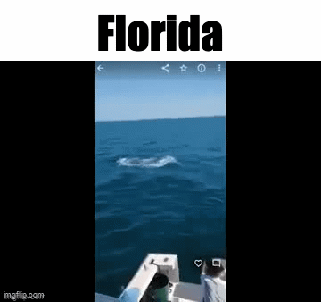 florida - Imgflip