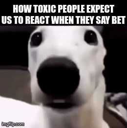 sHiVeR mE tImBeRs - Imgflip