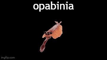 opabinia - Imgflip