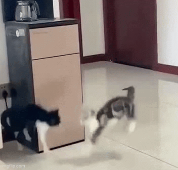 Synchronized reflexes - Imgflip