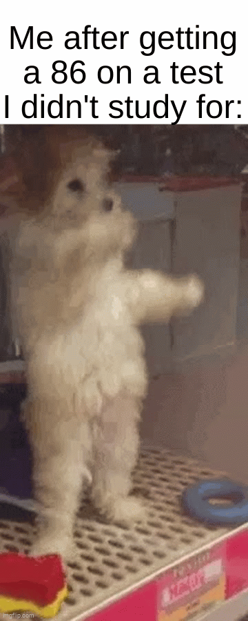 clever title - Imgflip