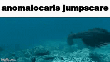 Image tagged in gifs,cambrian - Imgflip