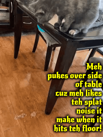 Meh Likes Teh Splat - Imgflip