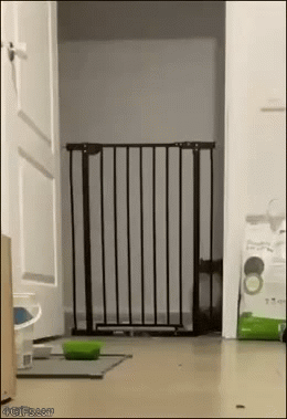 Oh , we have a gate now - Imgflip