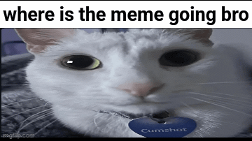 Black Screen - Imgflip