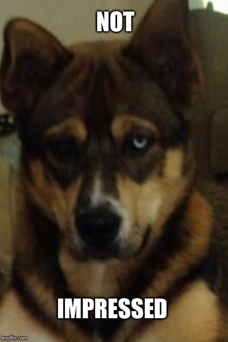 Image tagged in not impressed huxley - Imgflip