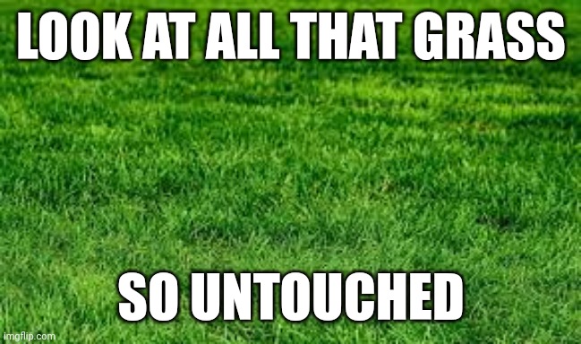 touching grass - Imgflip