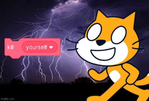 low tier scratch cat - Imgflip