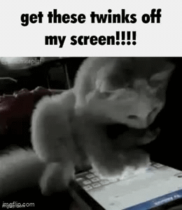 get these twinks off my screen!!!! - Imgflip