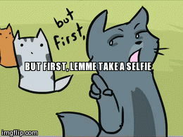 Lemme take a selfie - Imgflip