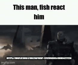 this man, fish react him - Imgflip