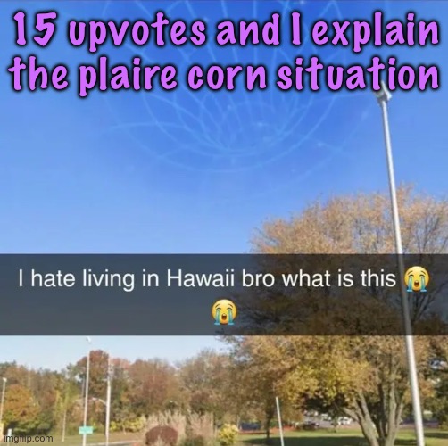 I hate living in Hawaii bro what is this - Imgflip