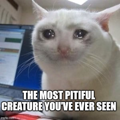 Sad cat tears - Imgflip